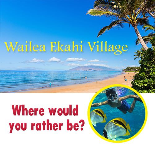 Wailea Ekahi Village- Maui Vacation Rentals on Keawakapu Beach