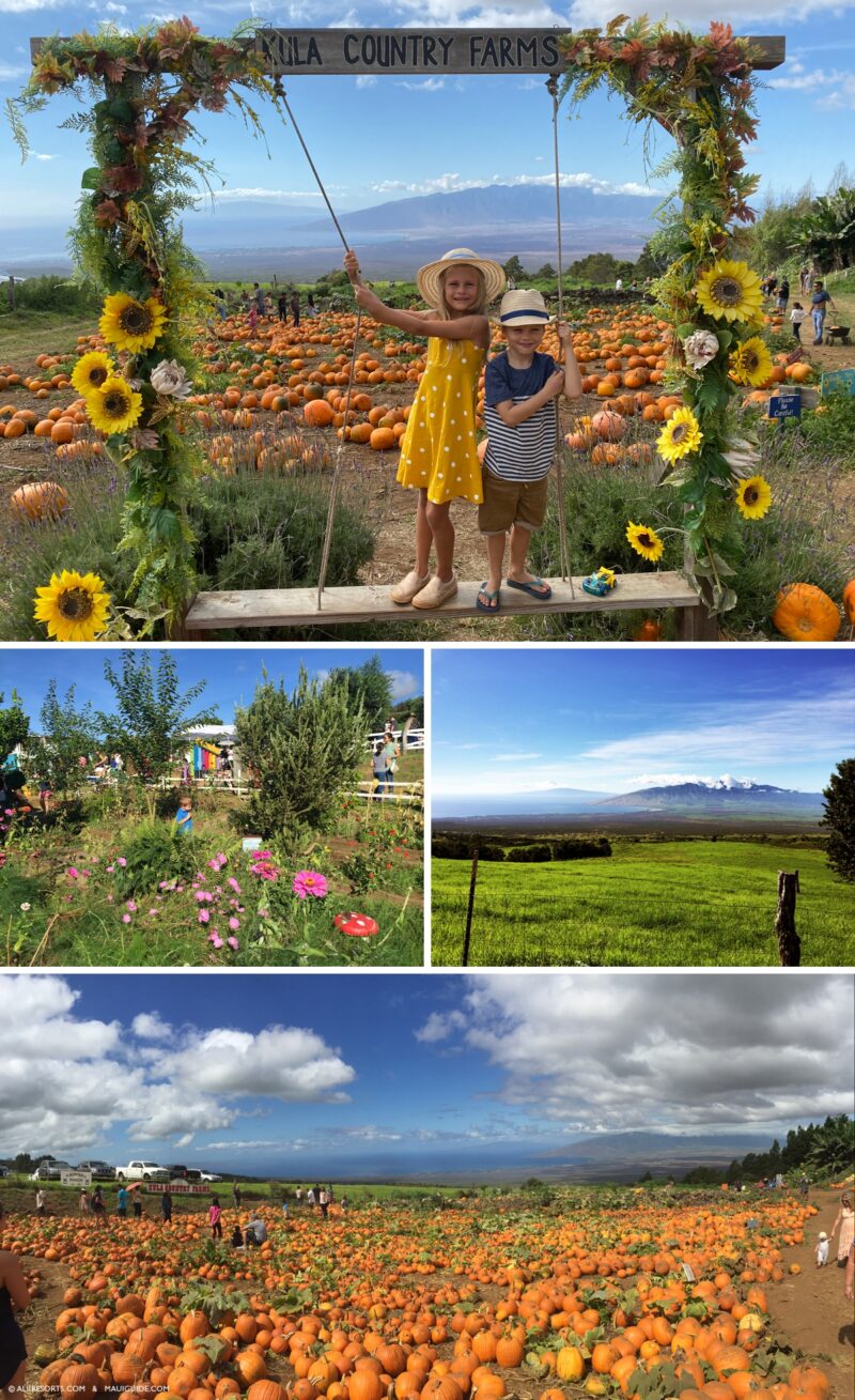 Maui Fall Vacation - Events and Activities in October