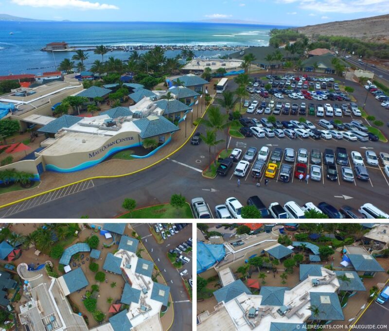 The Ultimate Maui Ocean Center Guide - Maui Aquarium