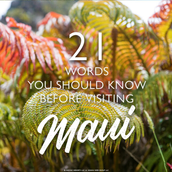 21 Words You Should Know Before Traveling To Maui