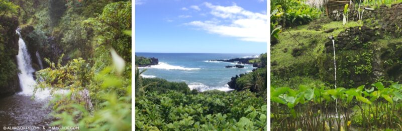 The Ultimate Maui Checklist: What to Know, Pack, and See