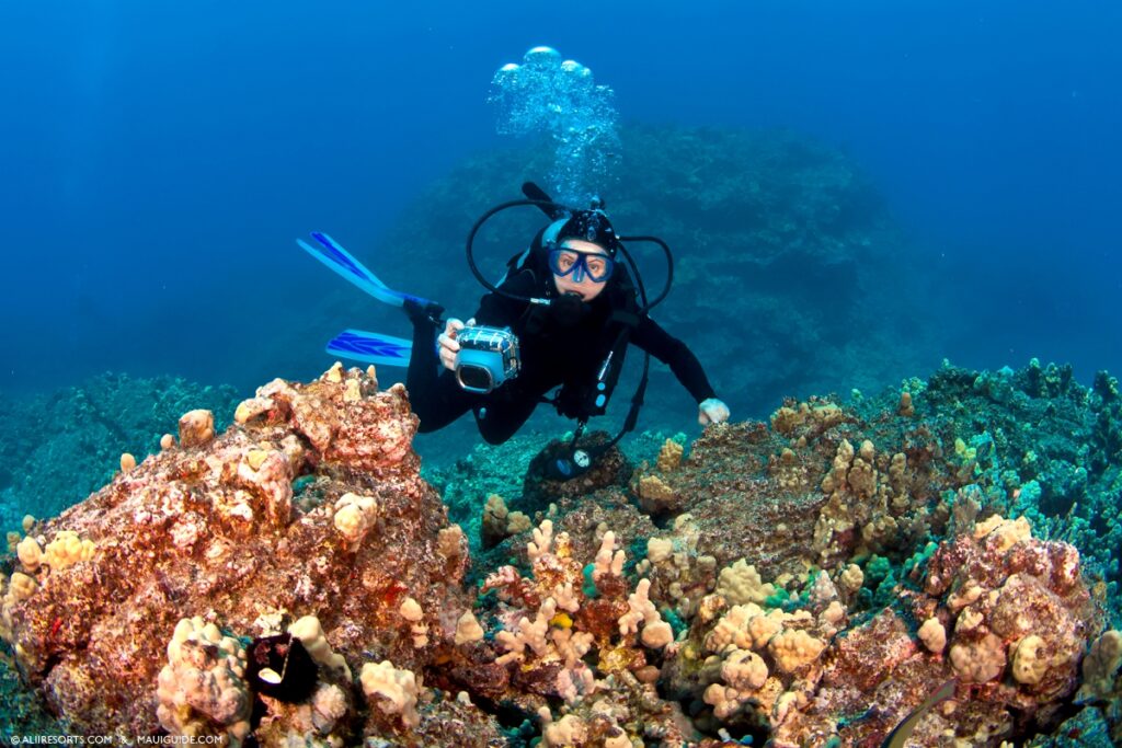 Scuba Diving in Maui: A Comprehensive Guide