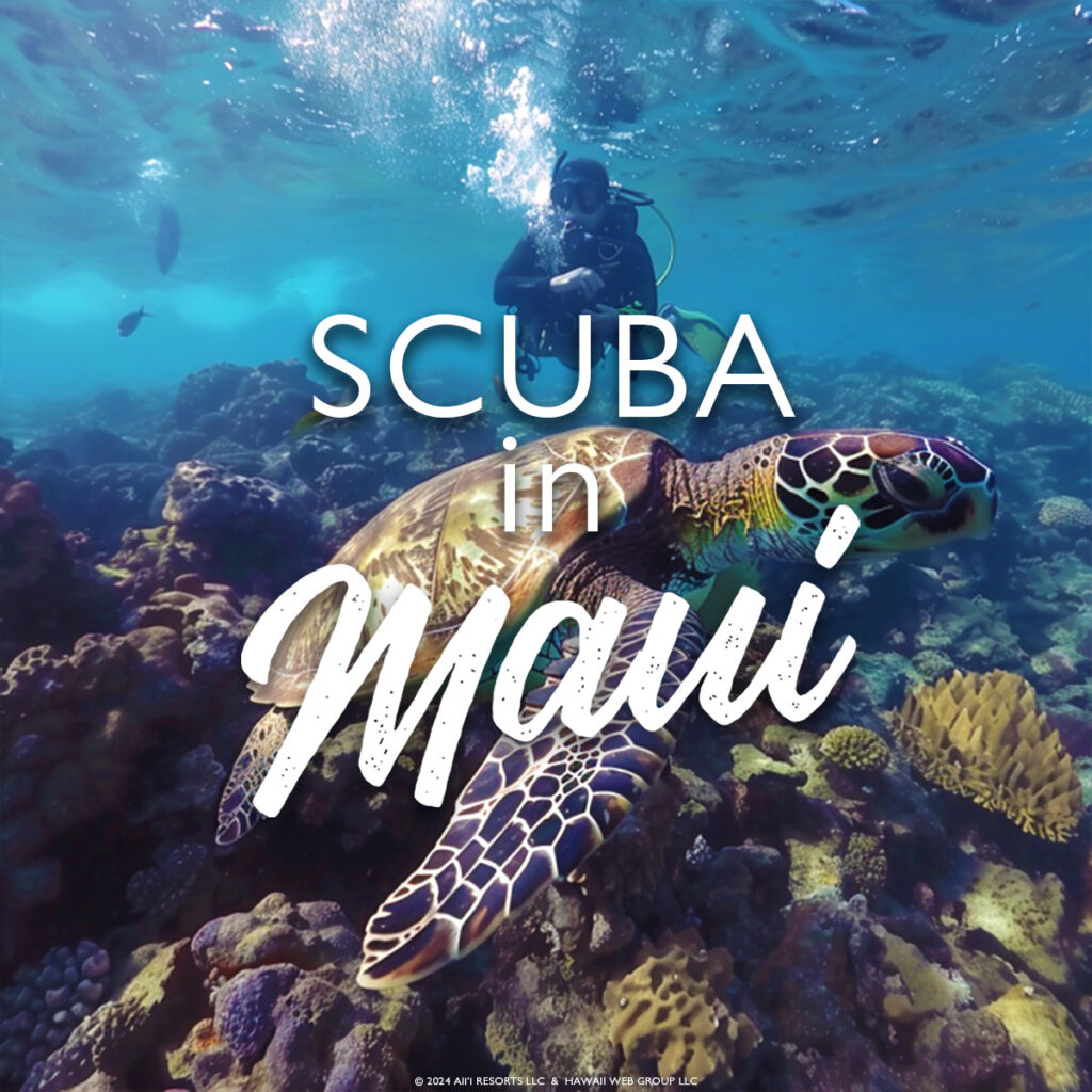Scuba Diving in Maui: A Comprehensive Guide